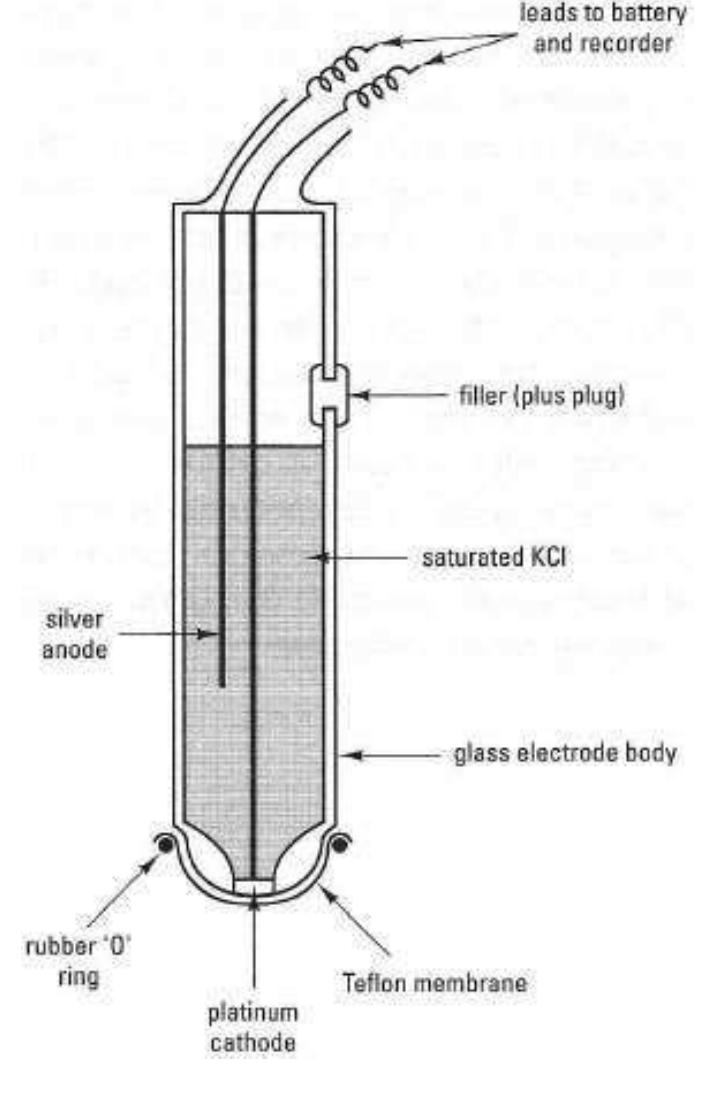(PDF) THE CLARK OXYGEN ELECTRODE