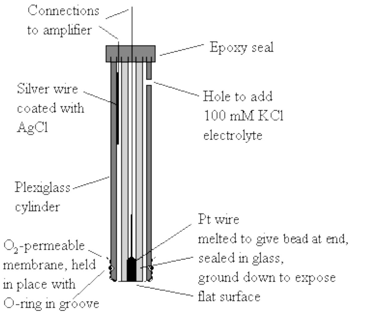(PDF) THE CLARK OXYGEN ELECTRODE