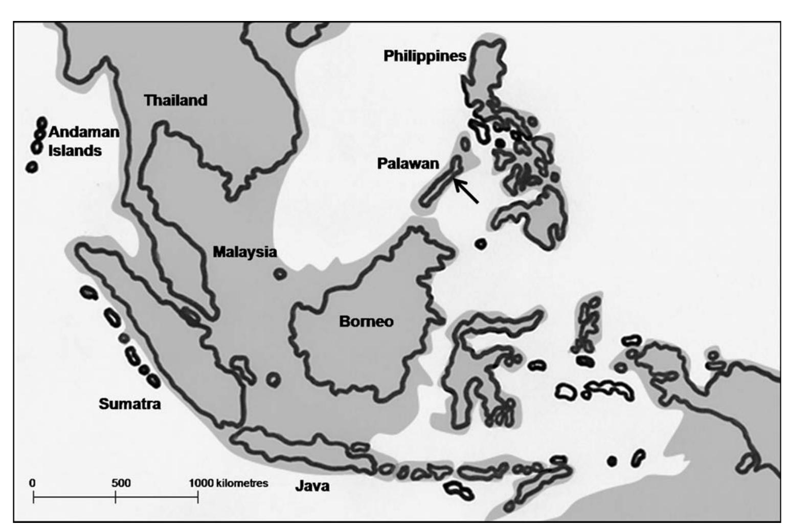 Map showing location of palawan island in southeast asia.