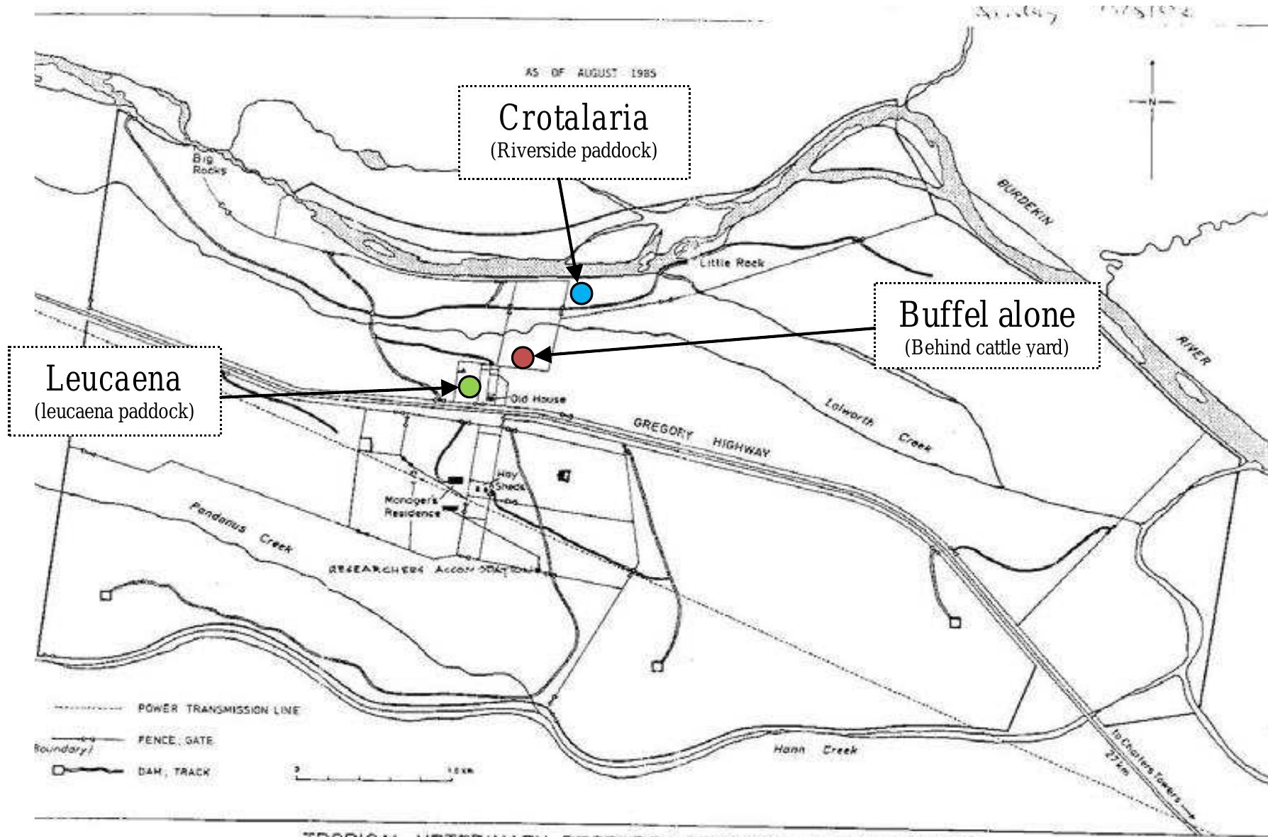 Map of fletcherview where buffel grass and legumes were