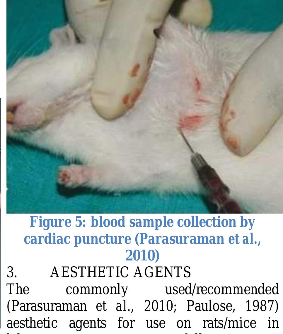 Figure 4 - Different blood collection methods from rats: A