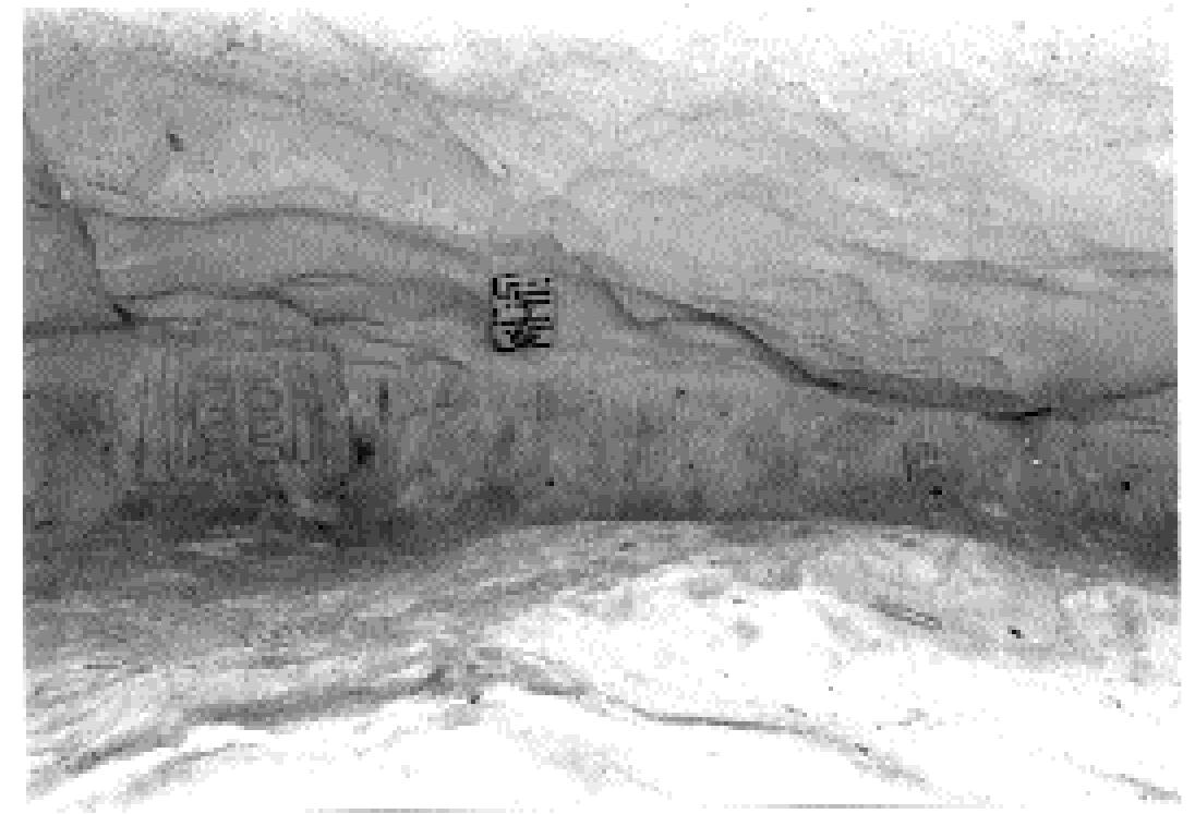 Geometric pictographs at el leoncito. pictografias