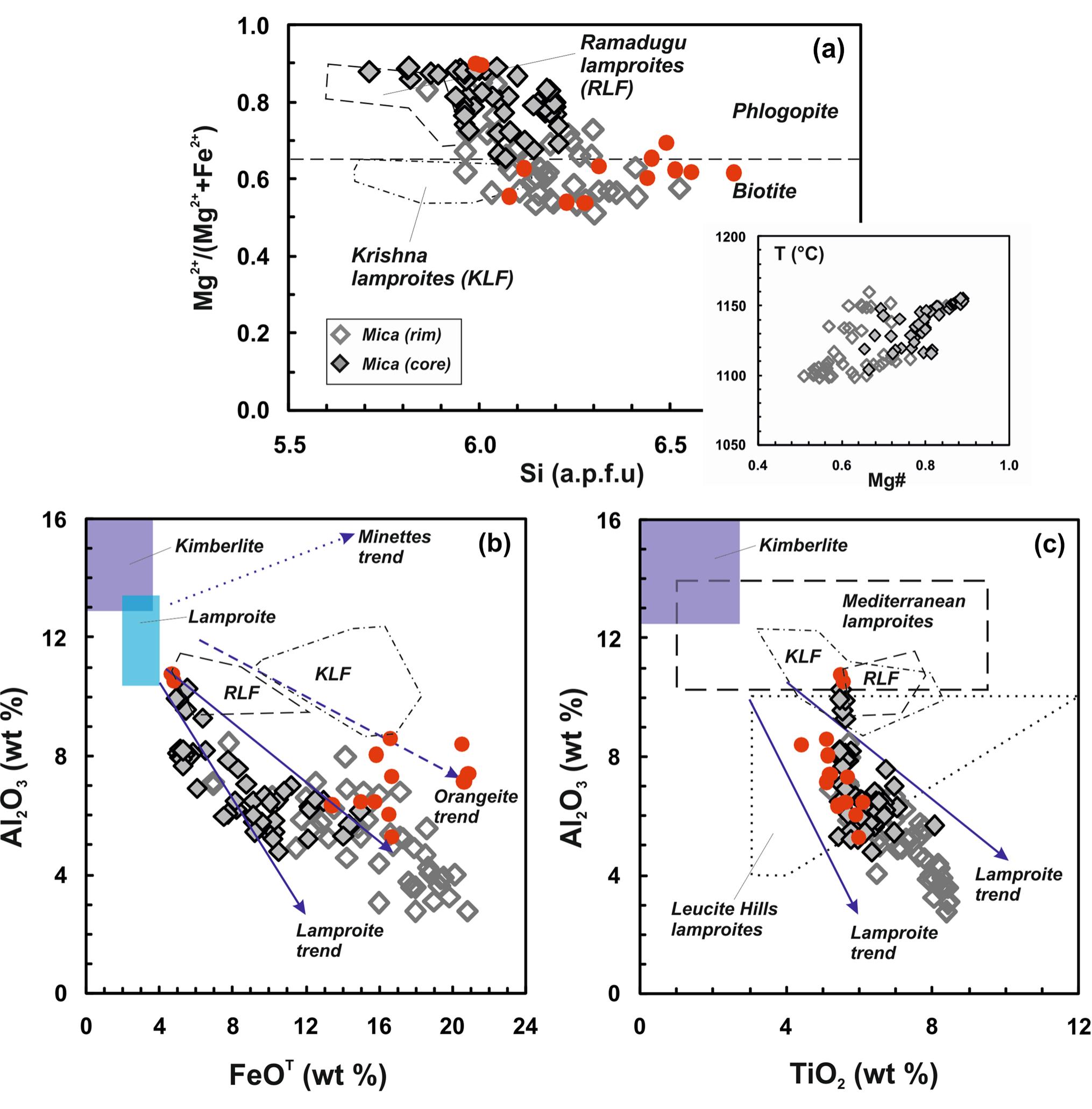 A si (apfu) vs. mg# plot (after rieder et al. 1998) for the