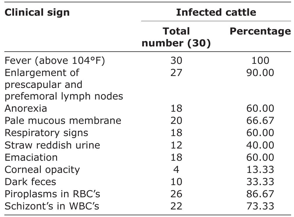 Rbc=red blood cells, wbc=white blood cell table-1: clinical