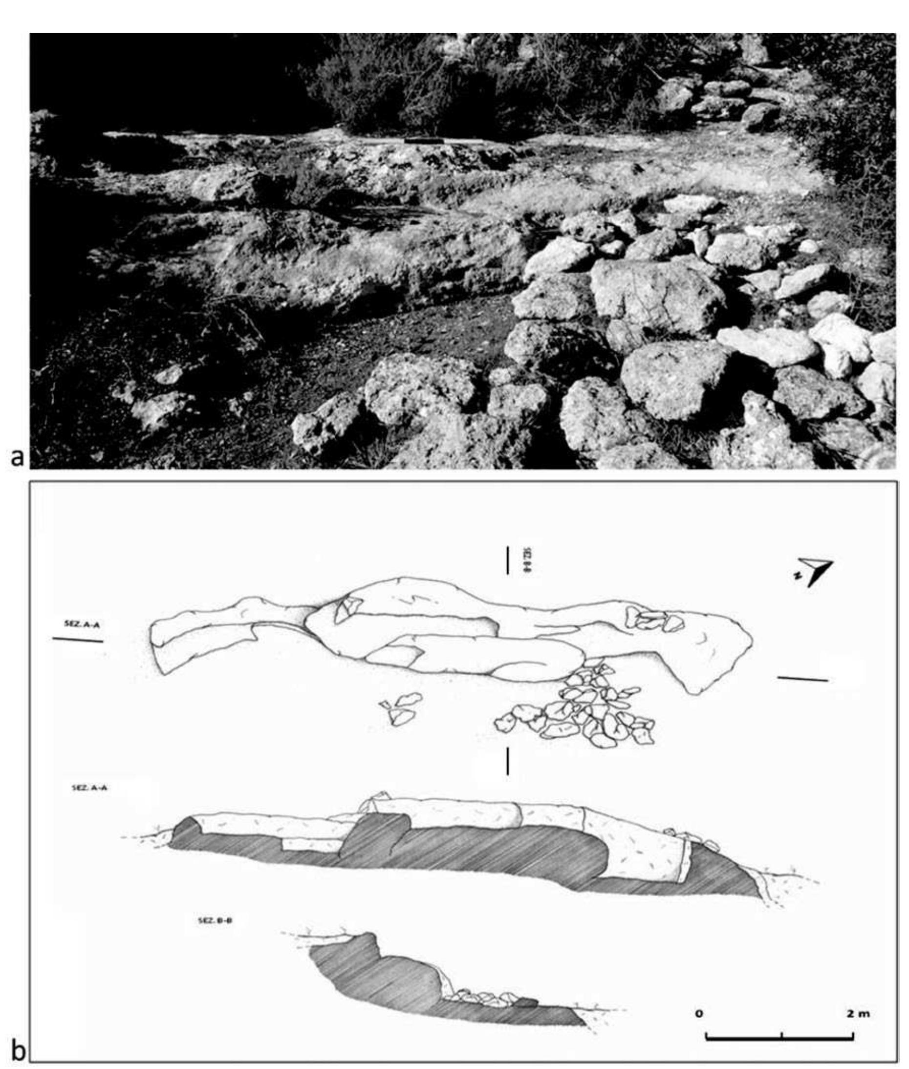 Eastern view (a), layout plan and cross sections (b) of the