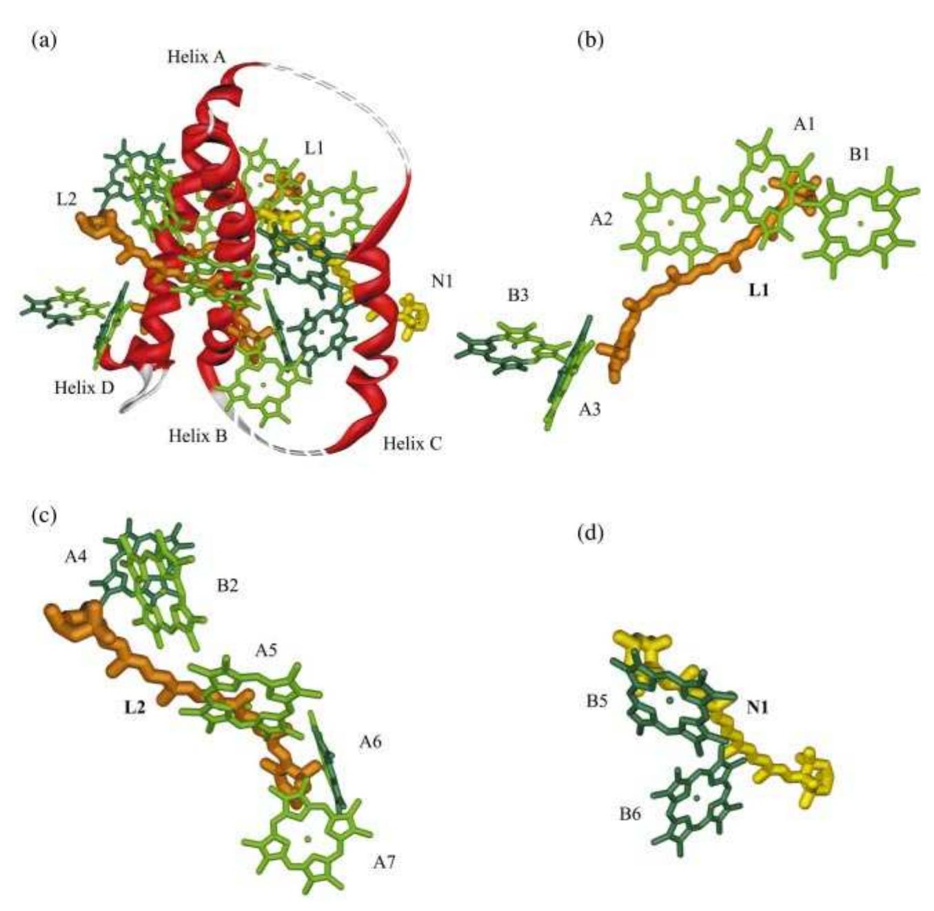 Figure 1 - from Functional architecture of the major