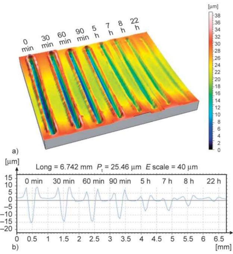 Sure 9. surface topography (a) and cross section pro- files