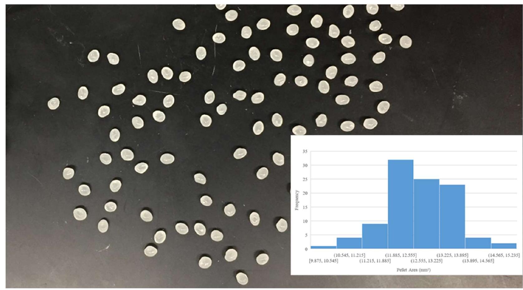 Digital images of the input polymer materials are shown in