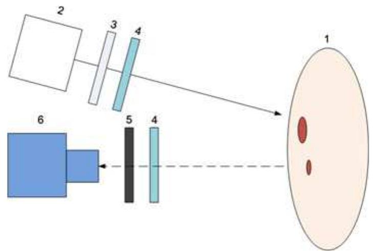 The nir test setup: / the arm, 2 light source, 3 diffuser, 4