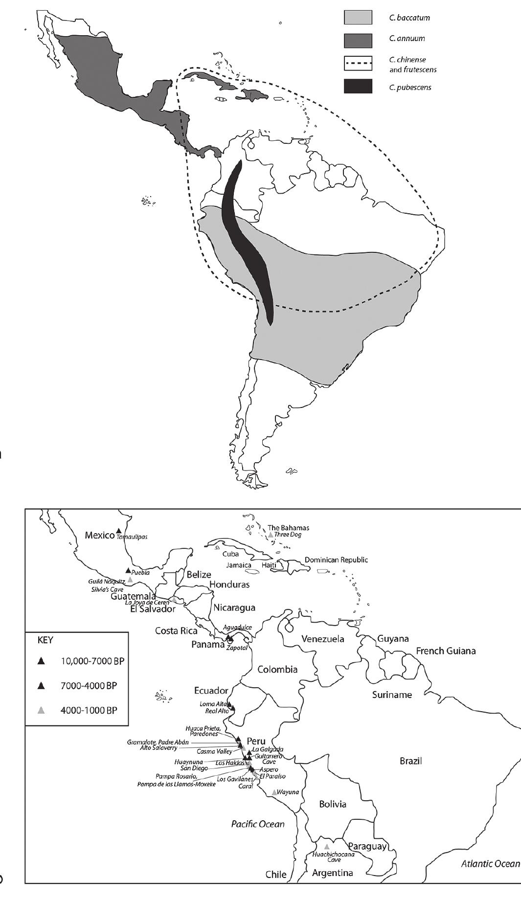 A4.1. distribution of capsicum: a, map showing distribution