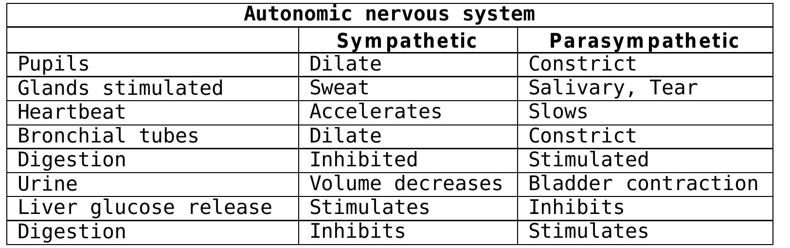 The parasympathetic nervous system calms down the body by