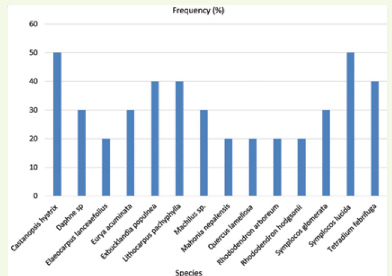Frequency of saplings along tendong sampling path