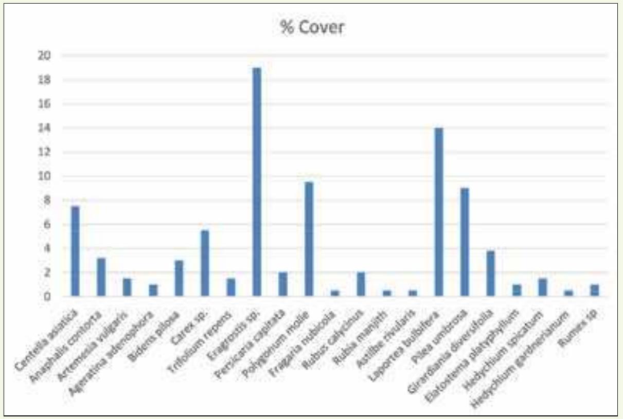 % cover of herb species in tendong rf sampling path