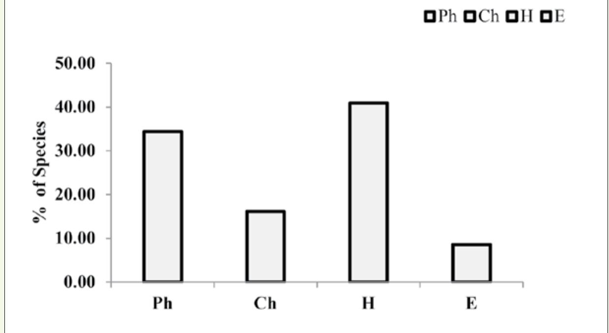Life form spectrum of different forest types of barsey
