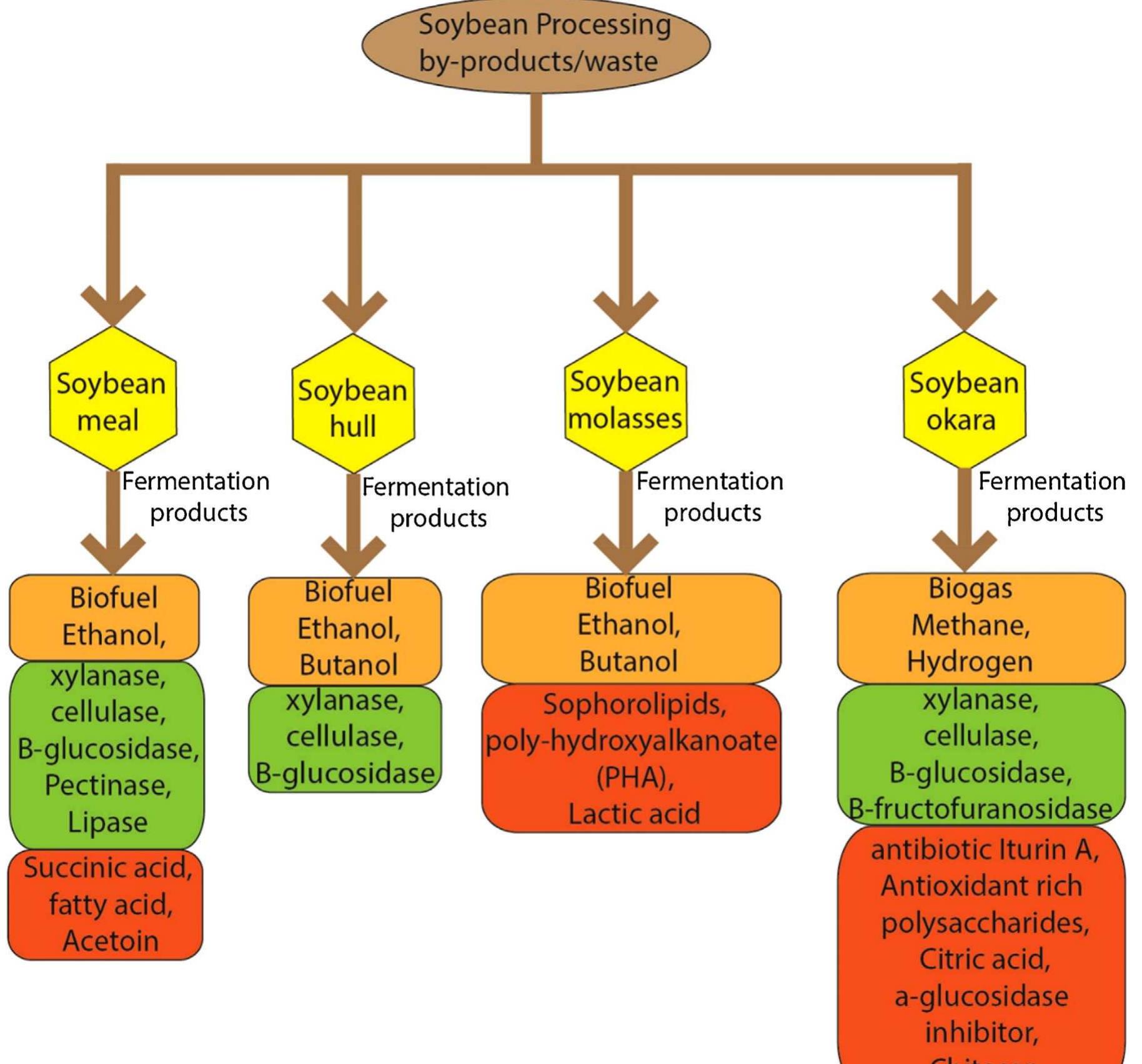 Summary of fermentation products made from soybean