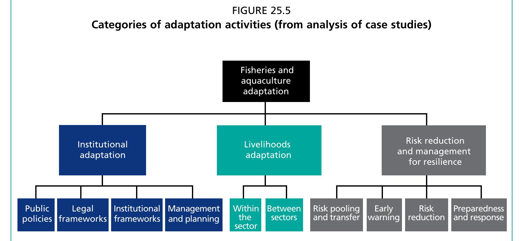 Different types of adaptation tools have been developed over
