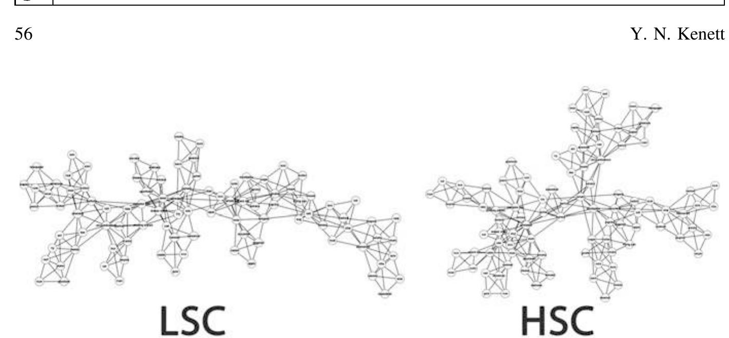 A 2d visualization of the lsc and hsc semantic networks.