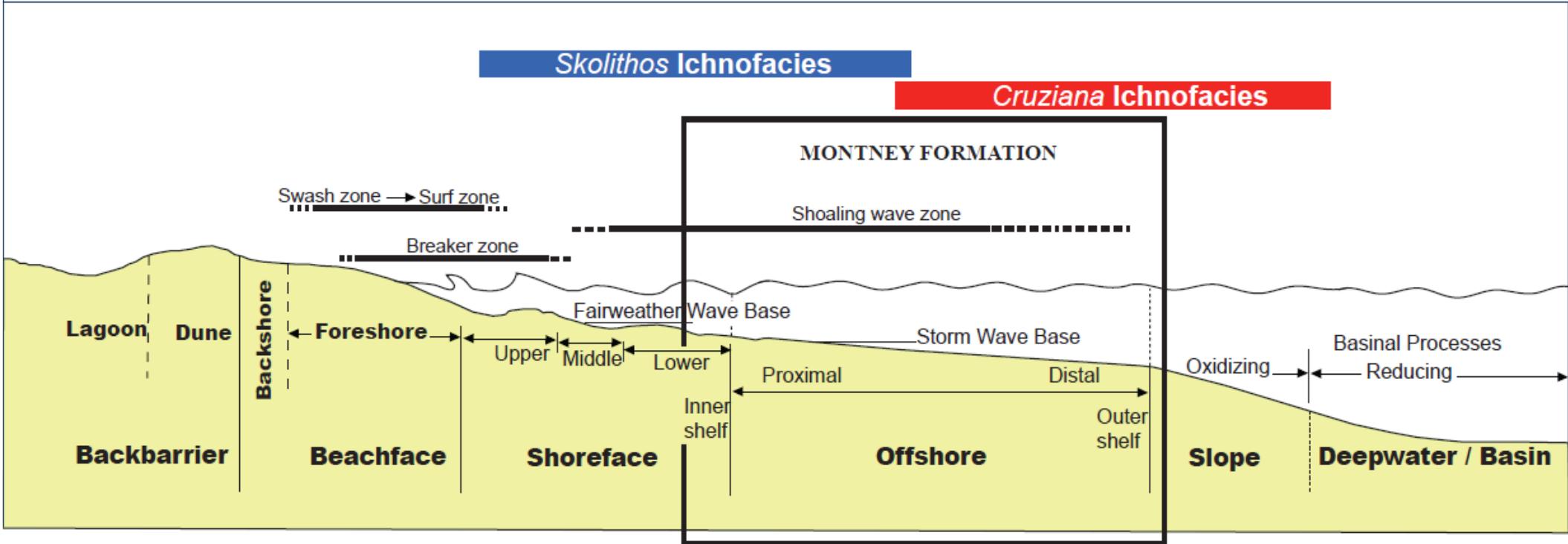 Schematic representation of the relationship between