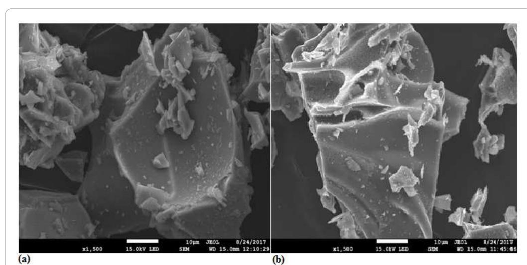 Ft-ir spectra of urea loaded sample eb-ga-02