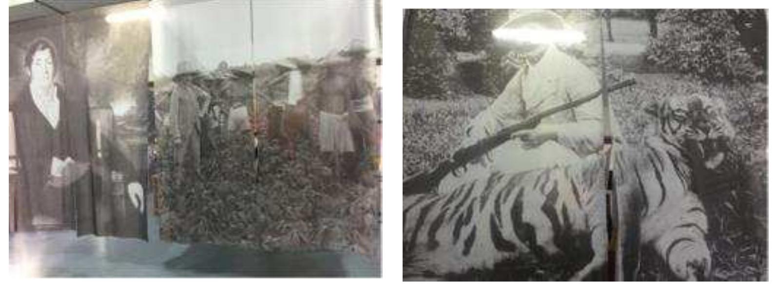 Scene of hunting. colonial hunter and shot tiger. figure 3.