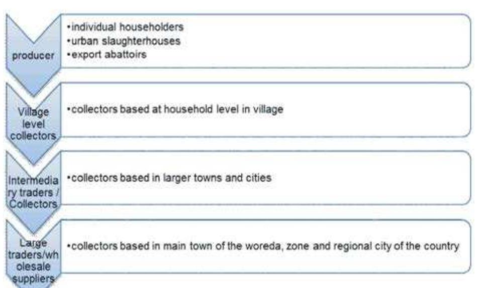 Figure 1 - from Major Factors Affecting Hide and Skin