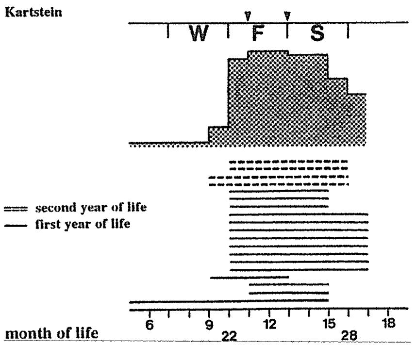 Kartstein (39). age structure of the recovered teeth of sub