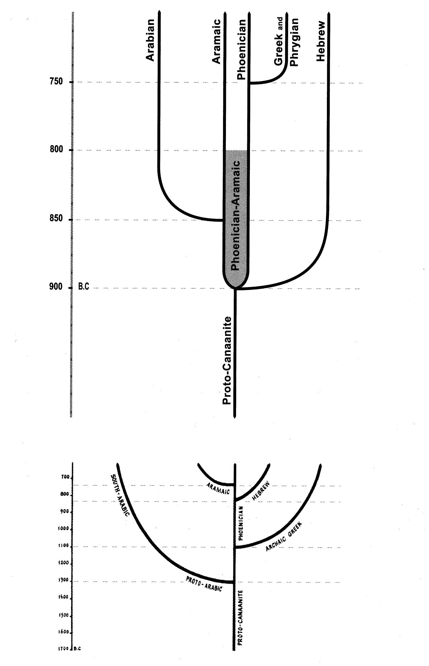 Schematic family tree of the early alphabetic scripts (and