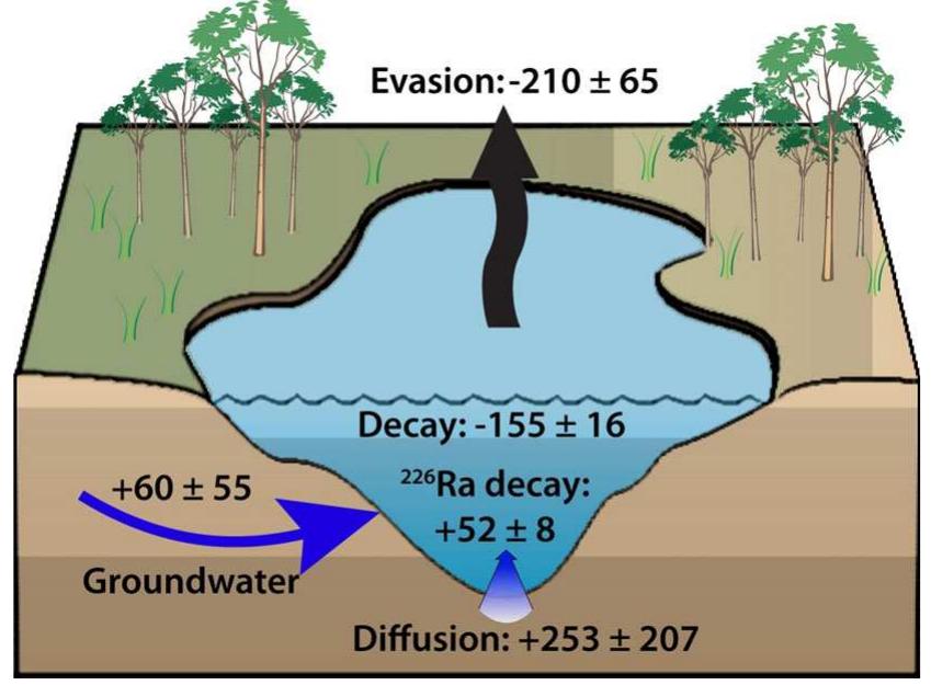 The different components of the radon mass balance averaged