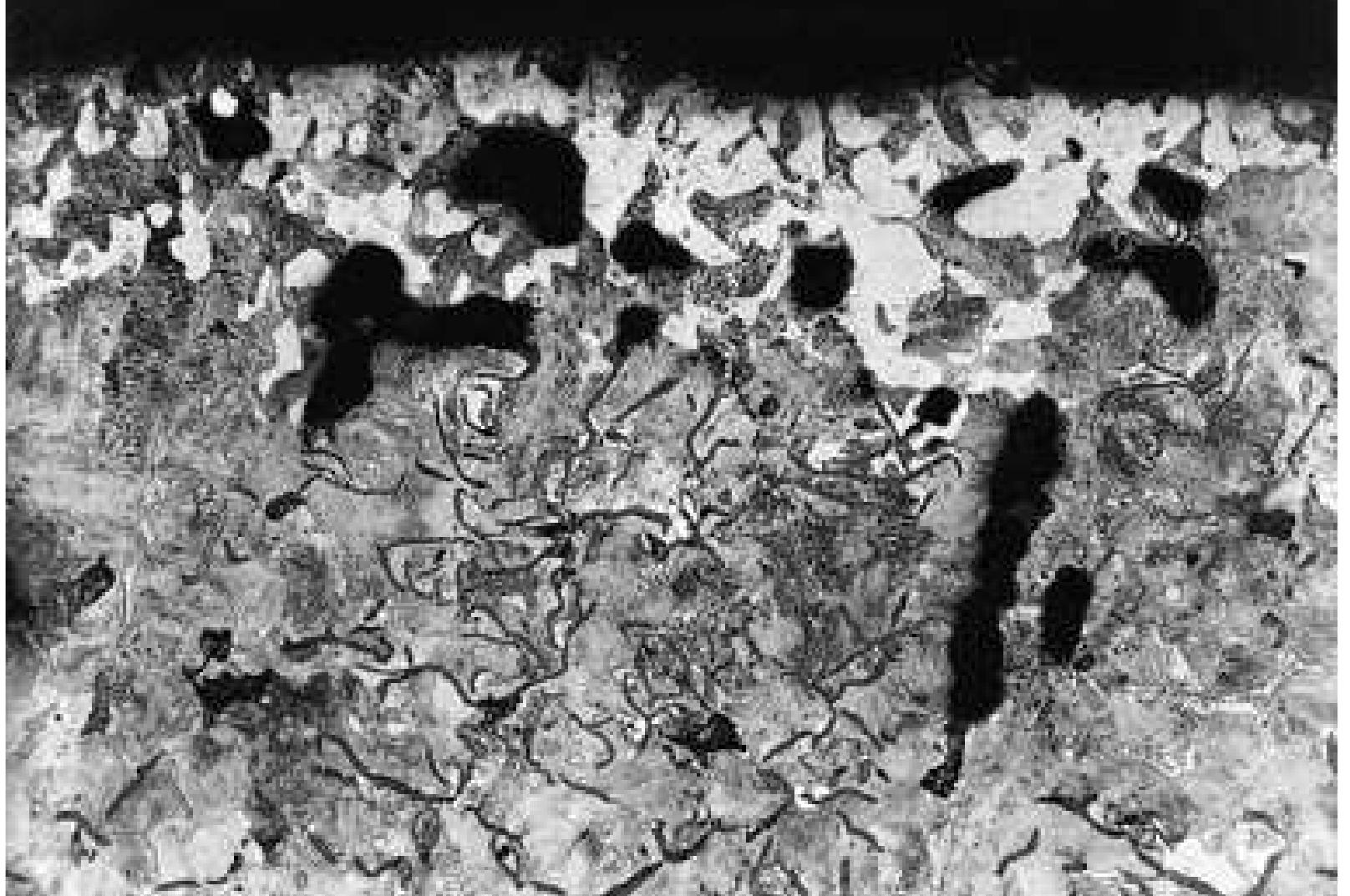 (PDF) Casting Defect - Pinholes