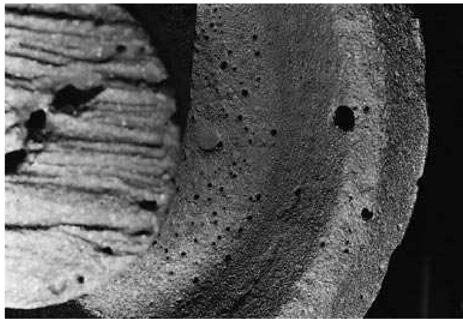 (PDF) Casting Defect - Pinholes