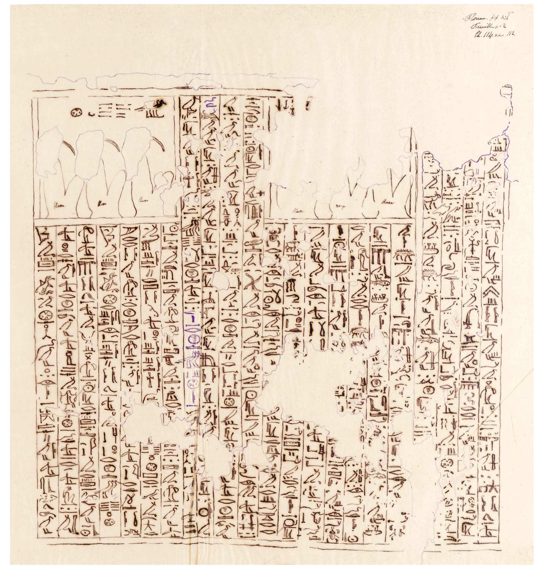 Facsimile-drawing of papyrus senemnetjer (bibliothéque de