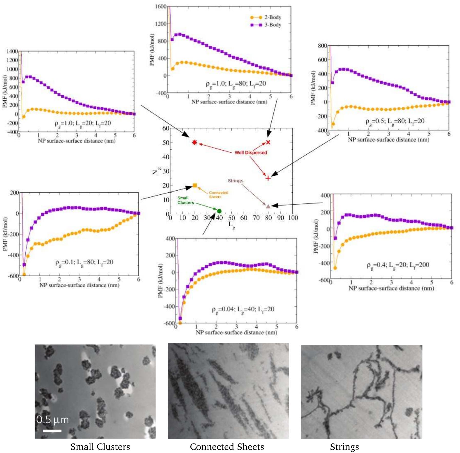 Top: schematic morphology diagram for grafted nps embedded