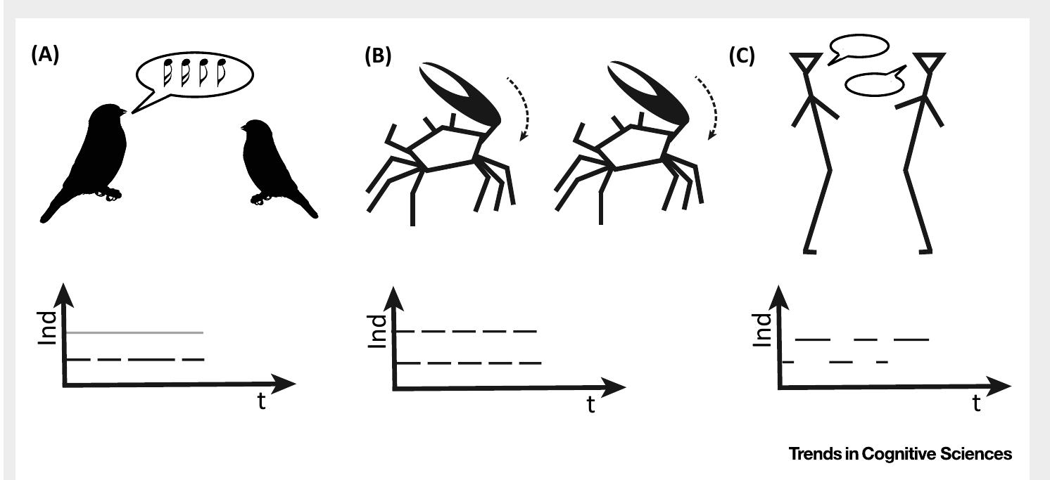 |. different types of social timing. (a) temporal structure