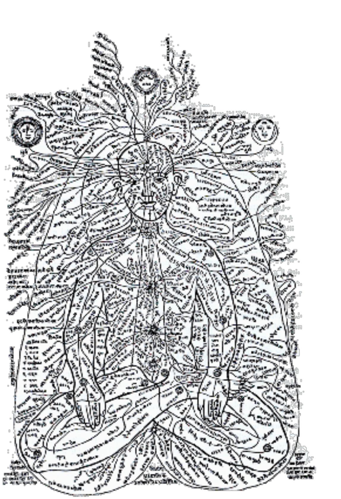 Figure 1 - The primo vascular system An exosomal route