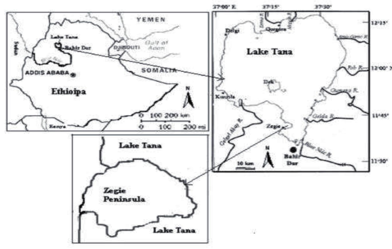 1: map of zegie peninsula which is extracted from the map of