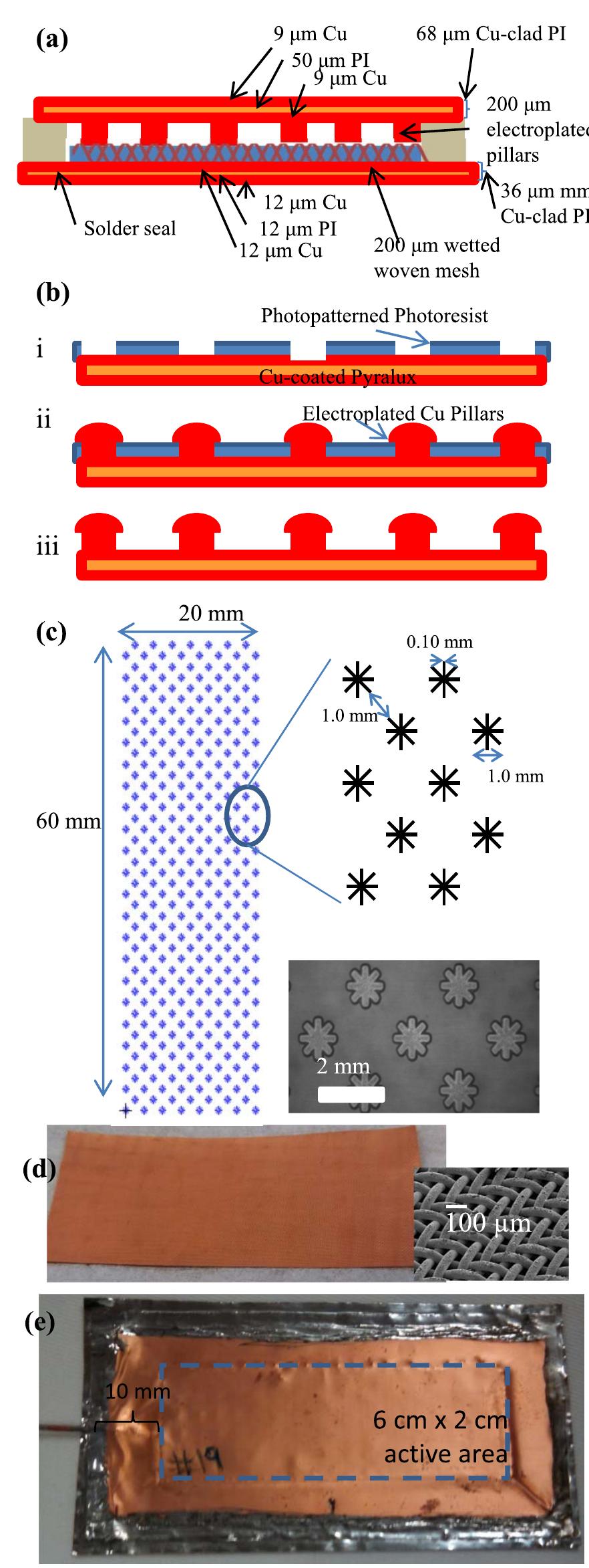 A) schematic cross-section of tgp showing the thickness of
