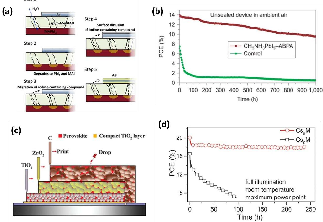 Igure 10. (a) schematic illustration of a proposed mechanism