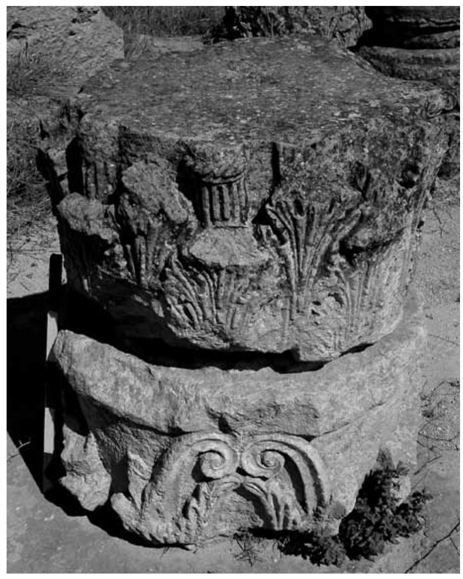 Orit Peleg-Barkat - The Hebrew University of Jerusalem