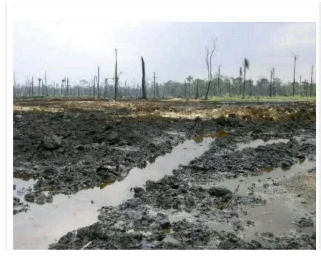 This picture shows how ecosystem is completely wipe off as a