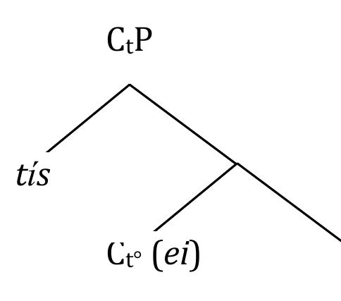 The structure of the left periphery of seq as shown in table