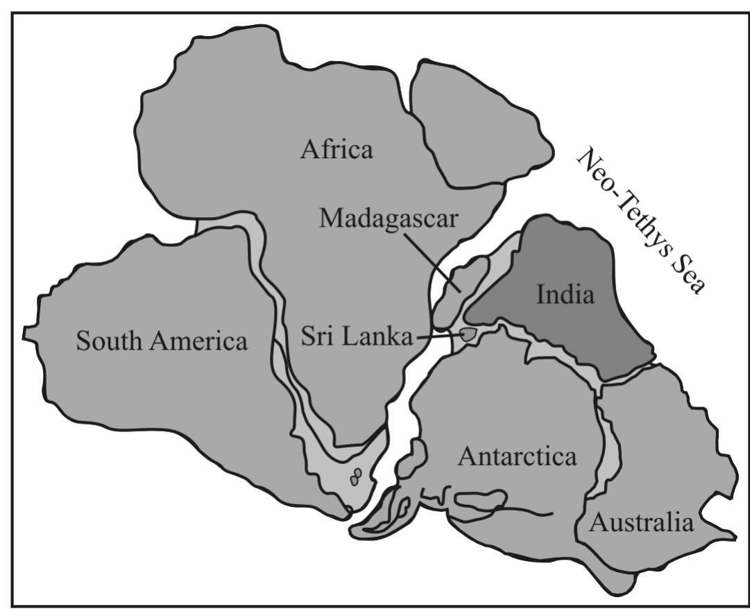 Paleogeographic map of gondwana showing the position of