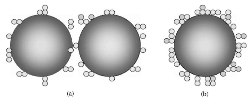 Precipitation charge neutralisation (pcn) model, showing (a)