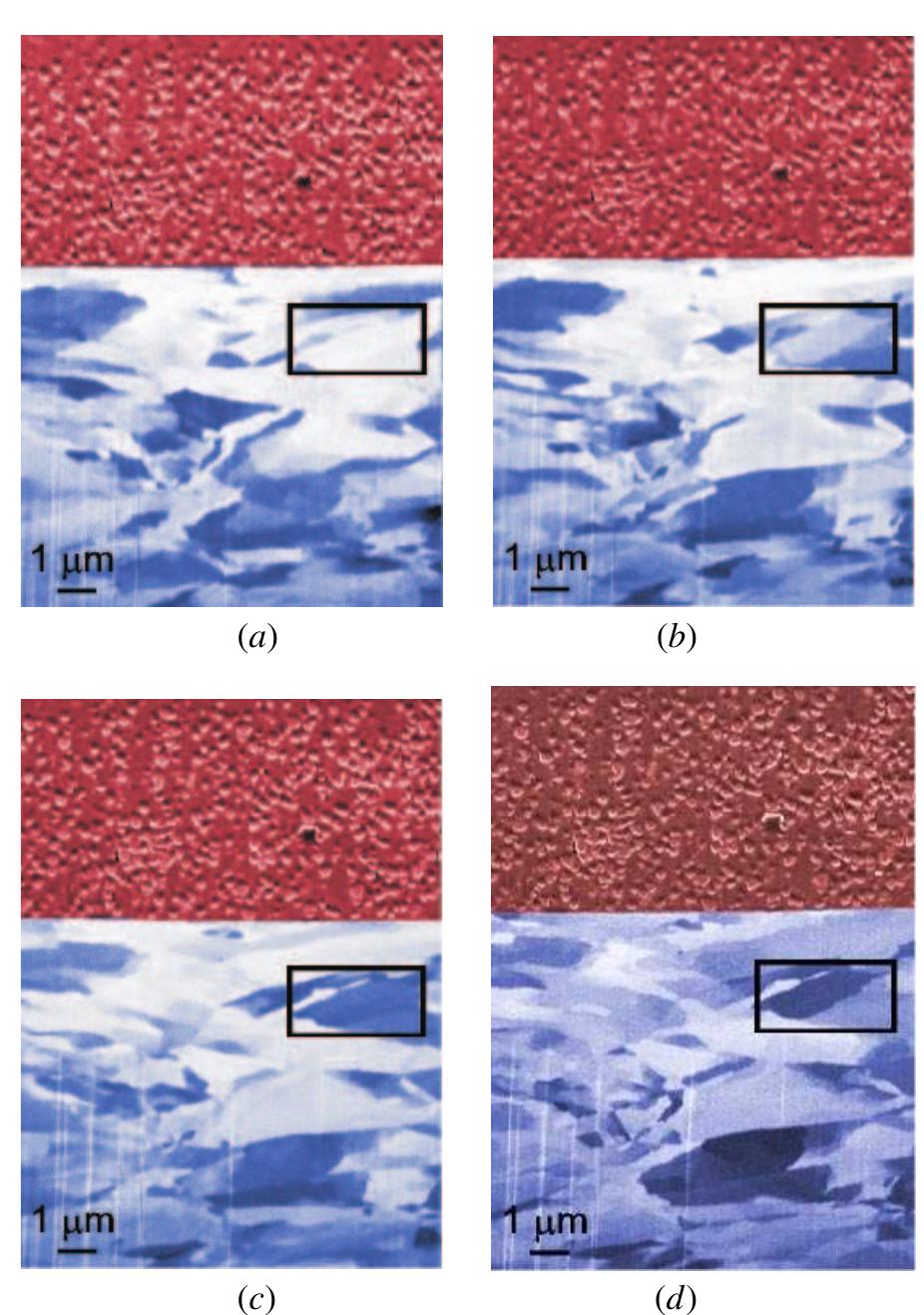 Cross section through an aluminium beverage can, visualized