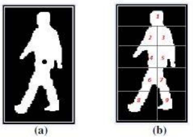 Segmentation of the human silhouette: (a) centroid of the