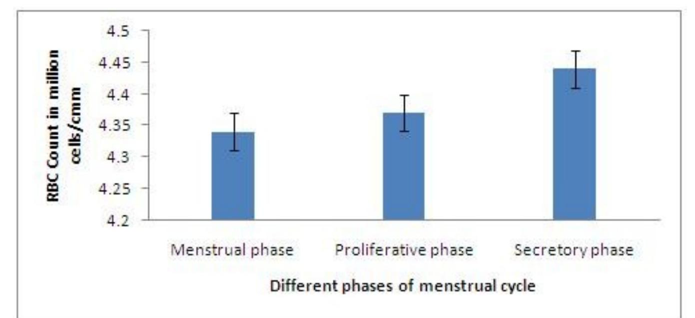 -1: red blood cell count in different phases of menstrual