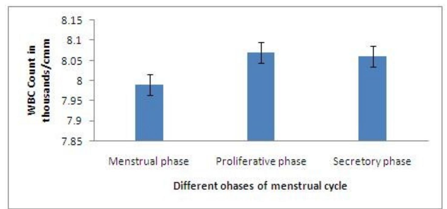 -2: white blood cell count in different phases of menstrual