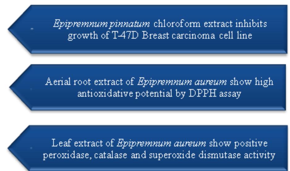 Figure 3 - EPIPREMNUM AUREUM (JADE POTHOS): A MULTIPURPOSE