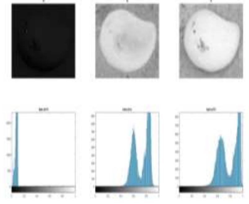 Figure 7 - from Ripening and quality detection of mango