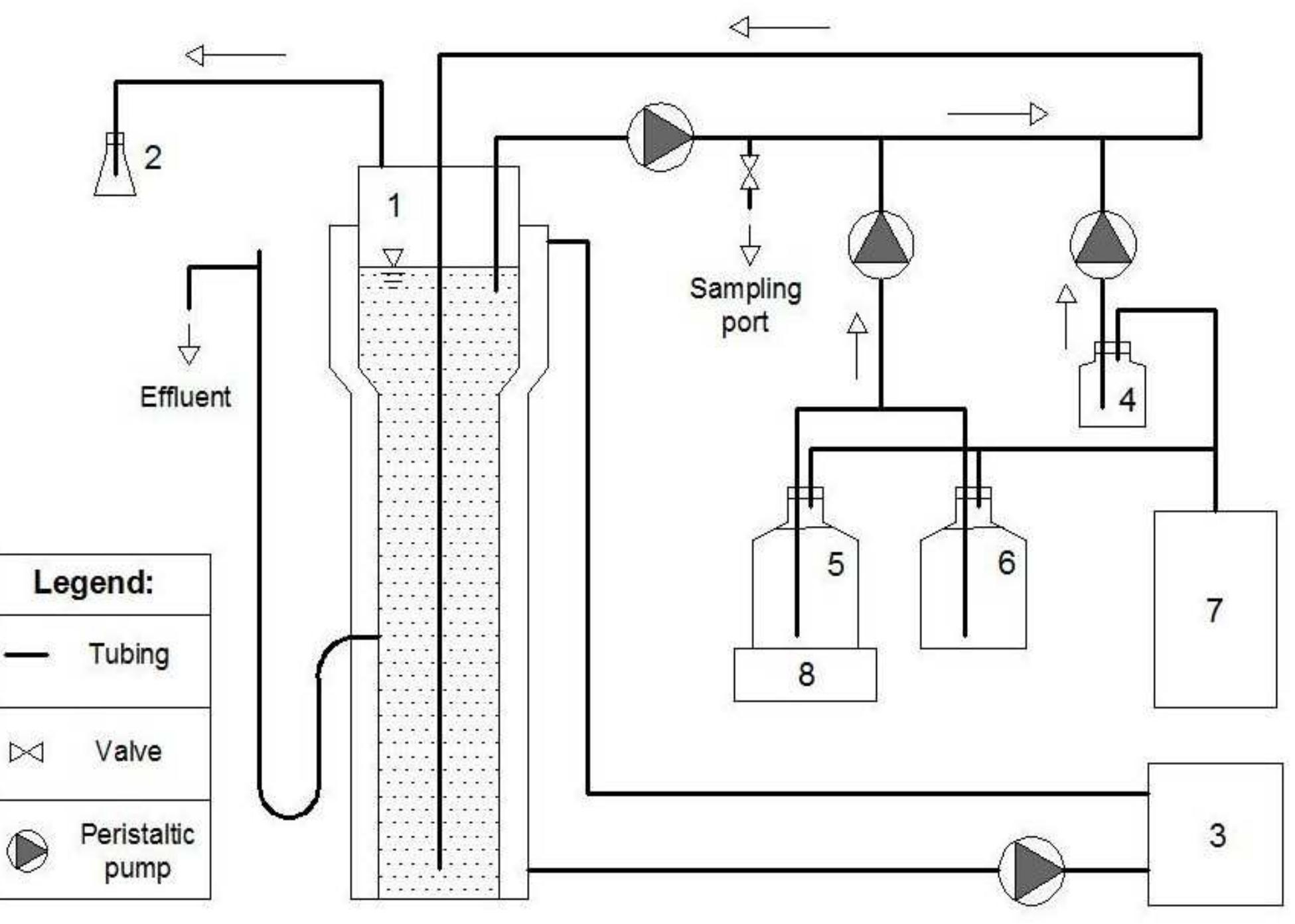 Schematic diagram of the lab-scale setup of anammox-reactor