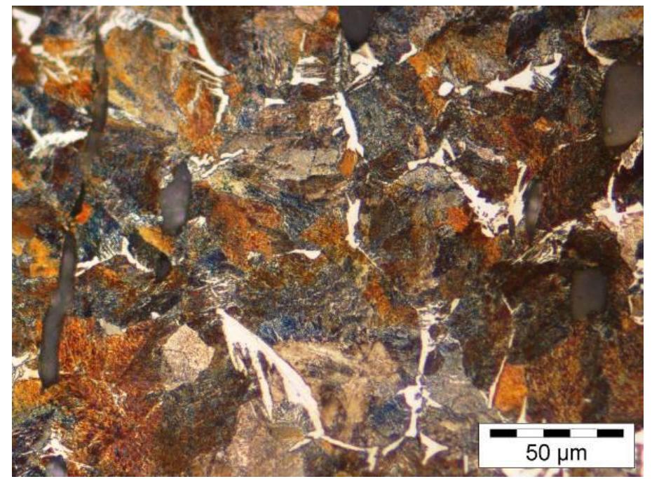 Etched transverse section of si1 in the shaft in the